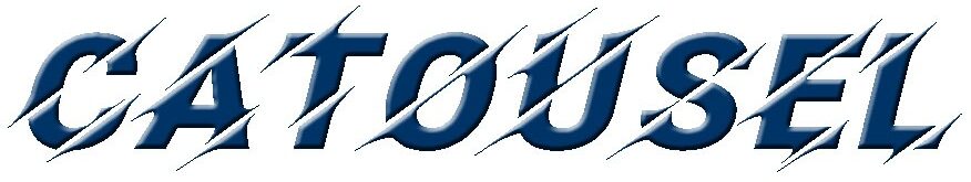 Catousel : Digital Marketing Company in India